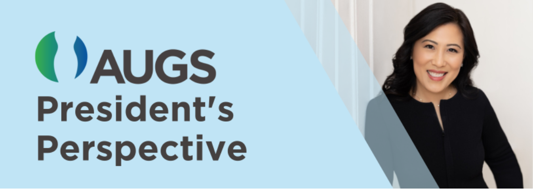 President's Perspective: 2024 Recap - AUGS